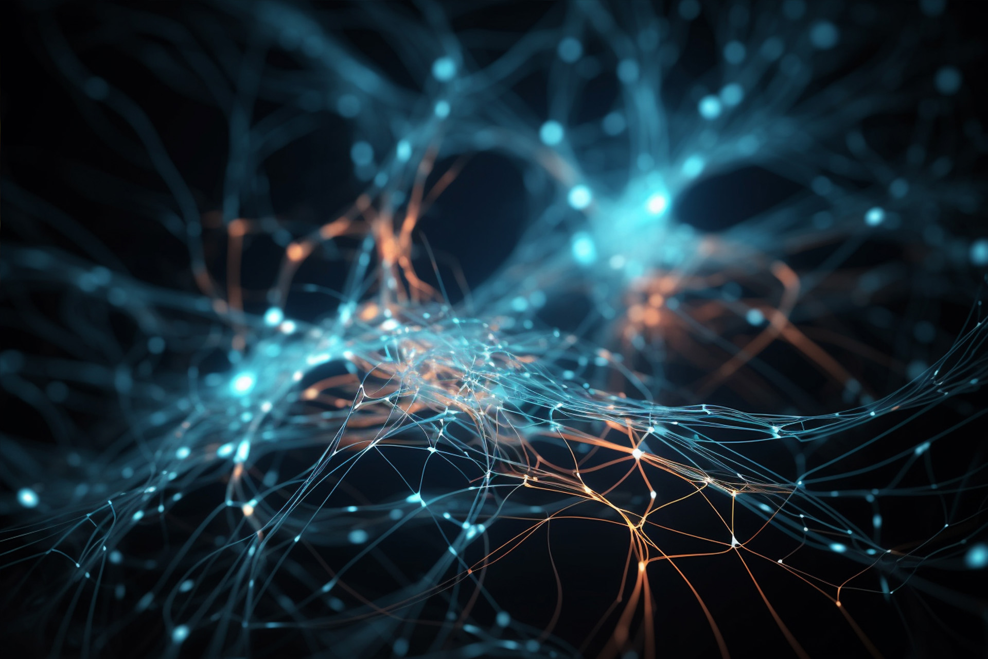 About us • Renal Care & Research